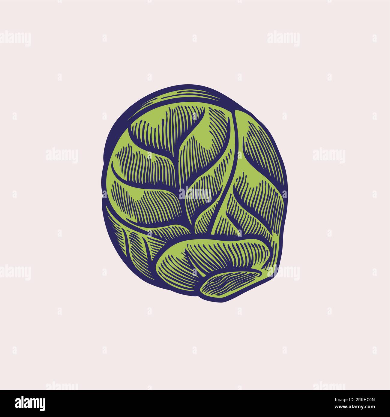 Green romain lettuce hand drawn sketch. Fresh leaves ingredient for ...
