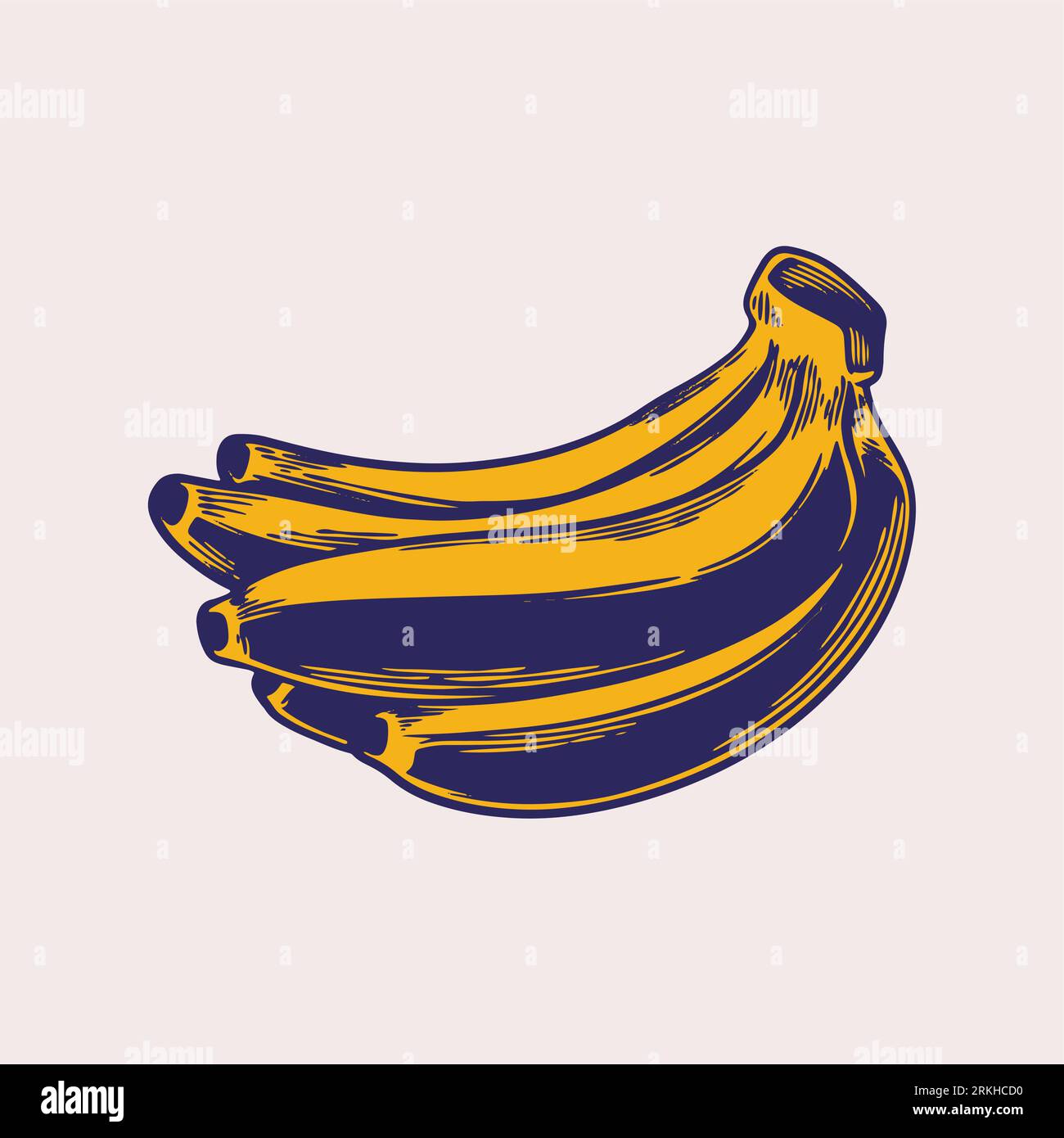 Banana hand drawn vintage engraving. Yellow fruits, a bunch of bananas ...