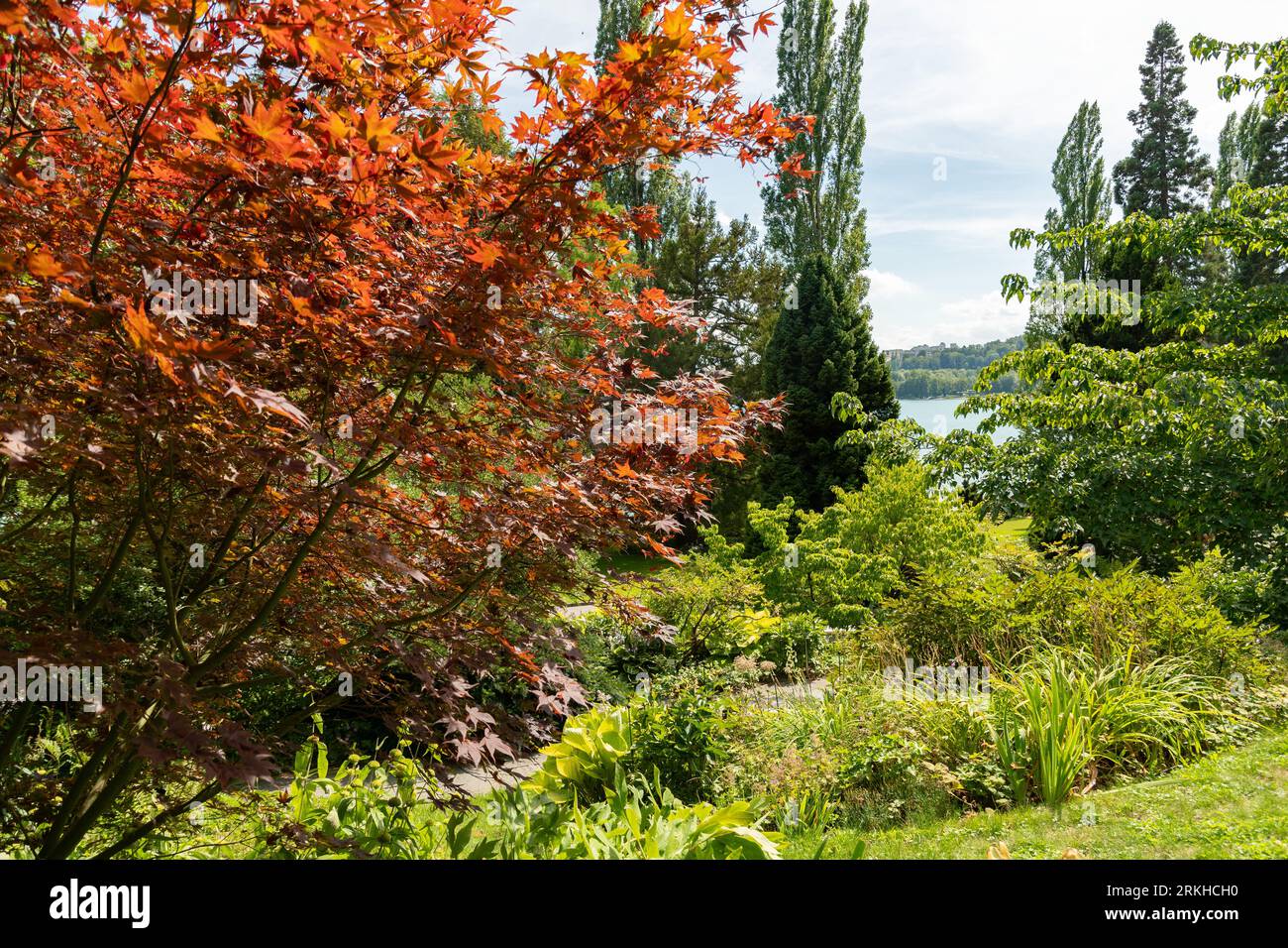 Mainau, Germany, July 20, 2023 Fascinating flowers and different ...