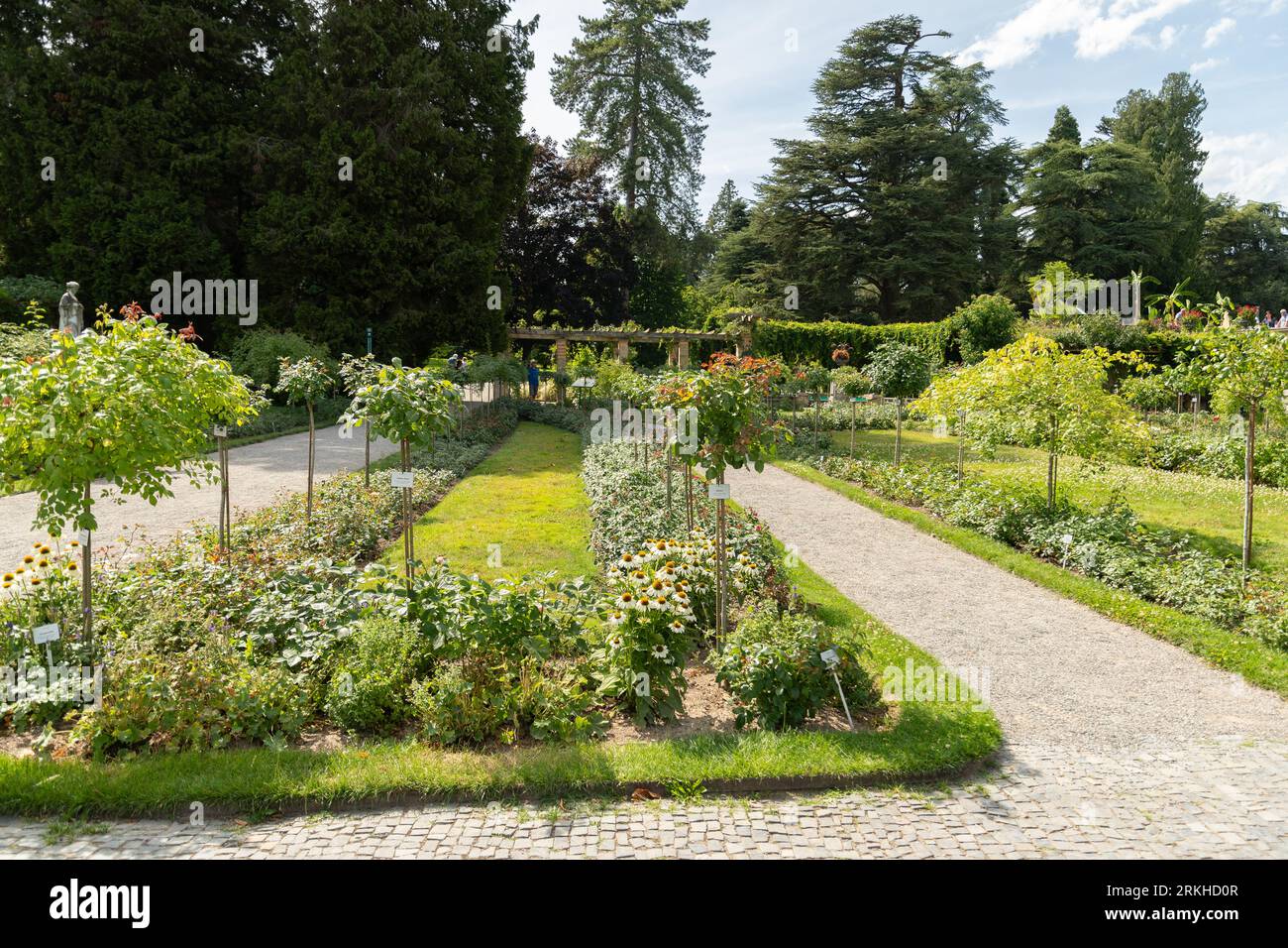 Mainau, Germany, July 20, 2023 Fascinating flowers and different ...