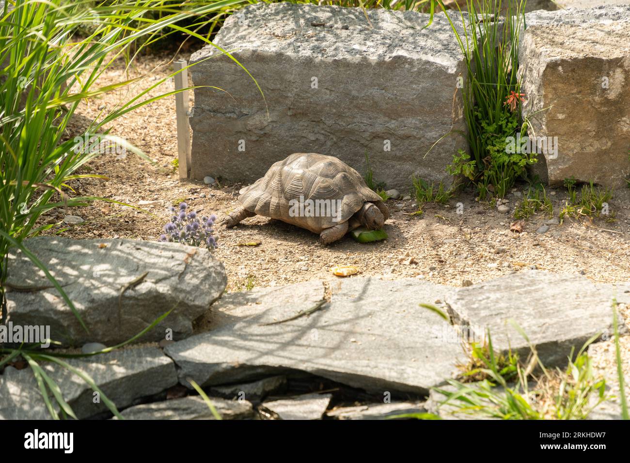 Shield holiday park hi-res stock photography and images - Alamy