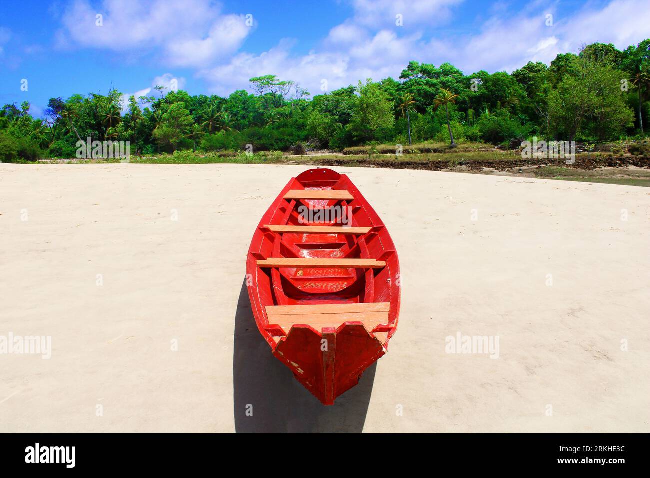 Amazon images hi-res stock photography and images - Alamy