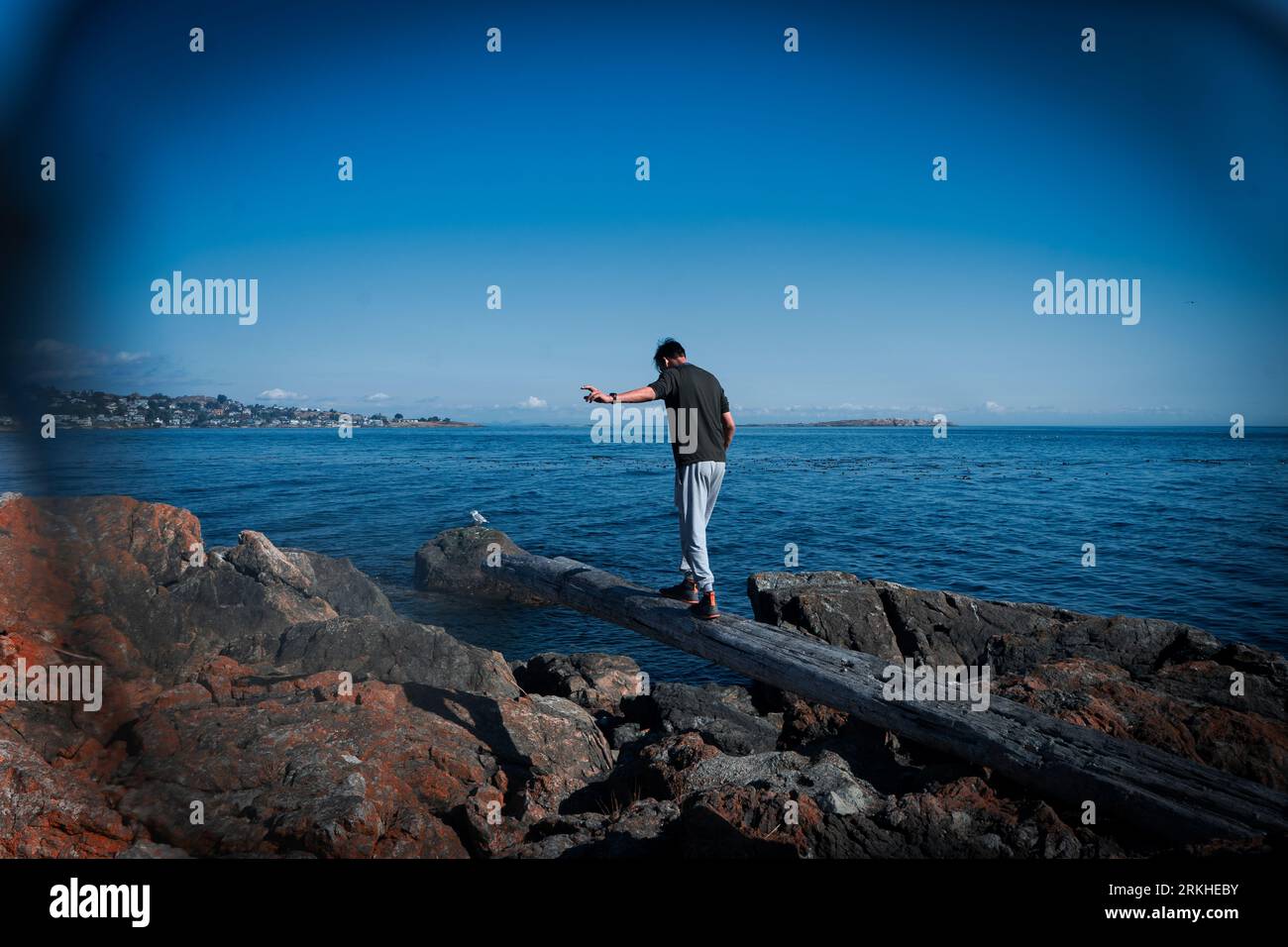 A man on a fallen log, facing the horizon with their arms outstretched ...