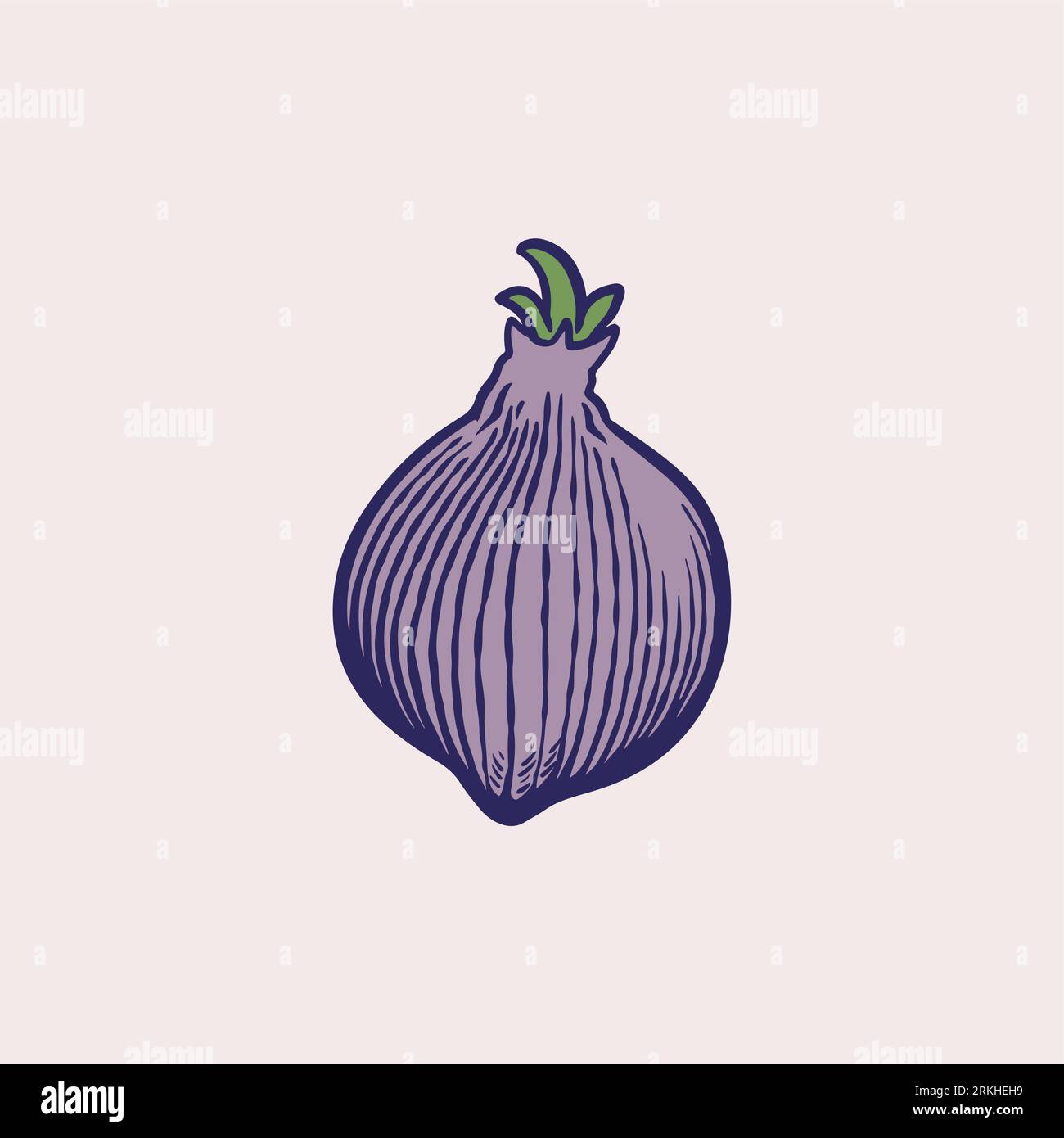 Agriculture allium cepa Stock Vector Images - Alamy