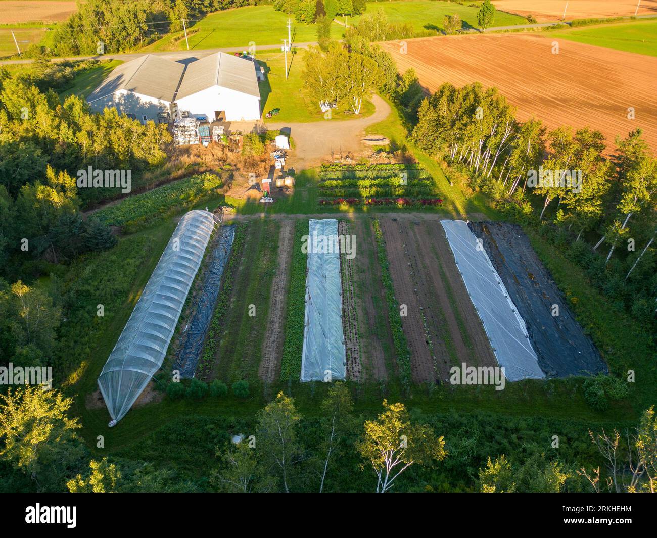 An aerial view of a small plot of crops on a fruit and vegetable farm ...