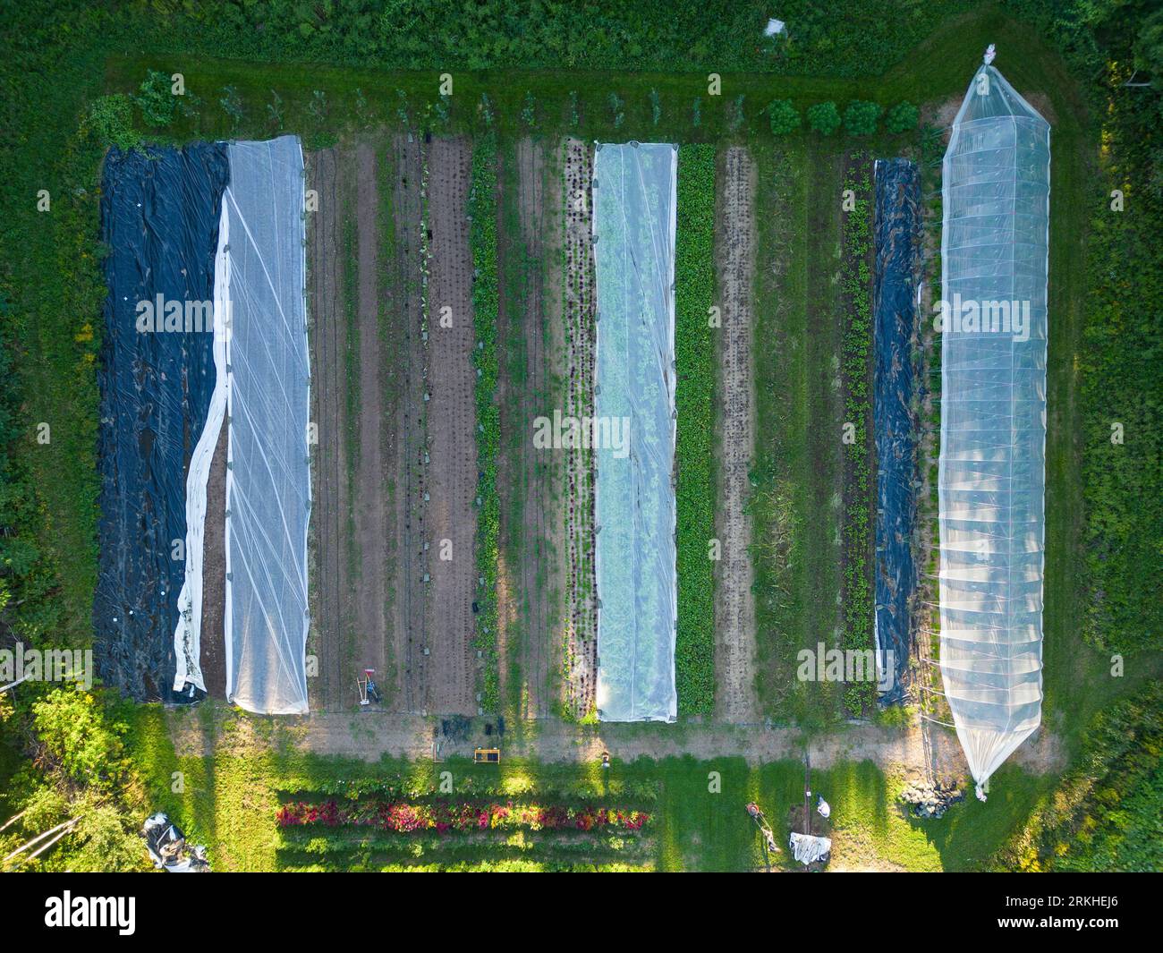 An aerial view of a small plot of crops on a fruit and vegetable farm ...