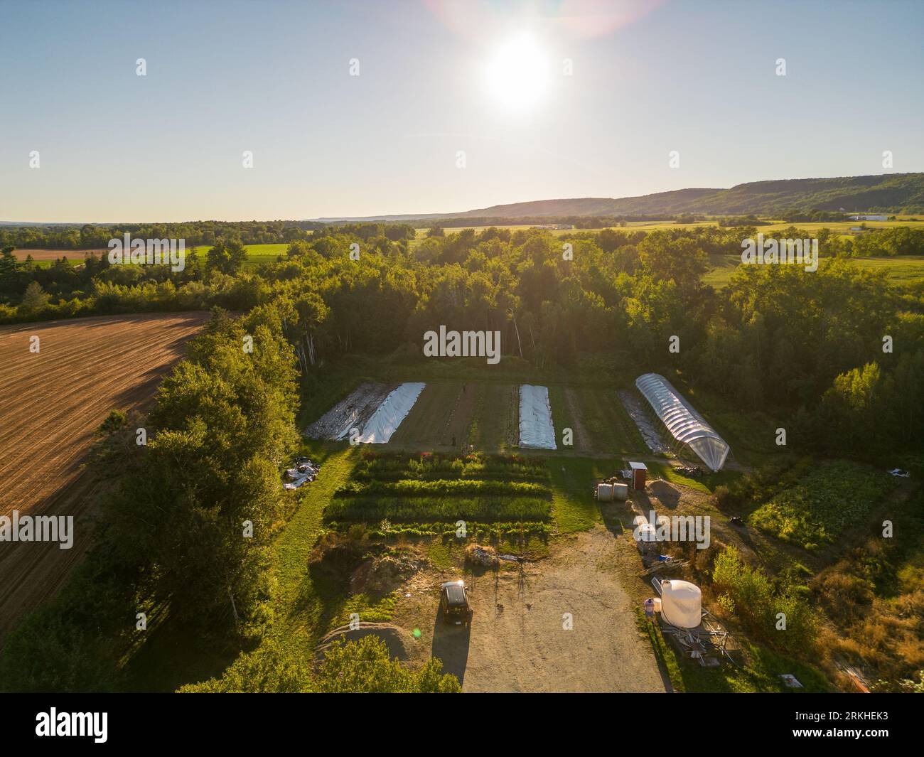 An aerial view of a small plot of crops on a fruit and vegetable farm ...