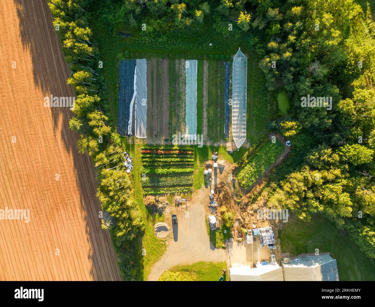 An aerial view of a small plot of crops on a fruit and vegetable farm ...