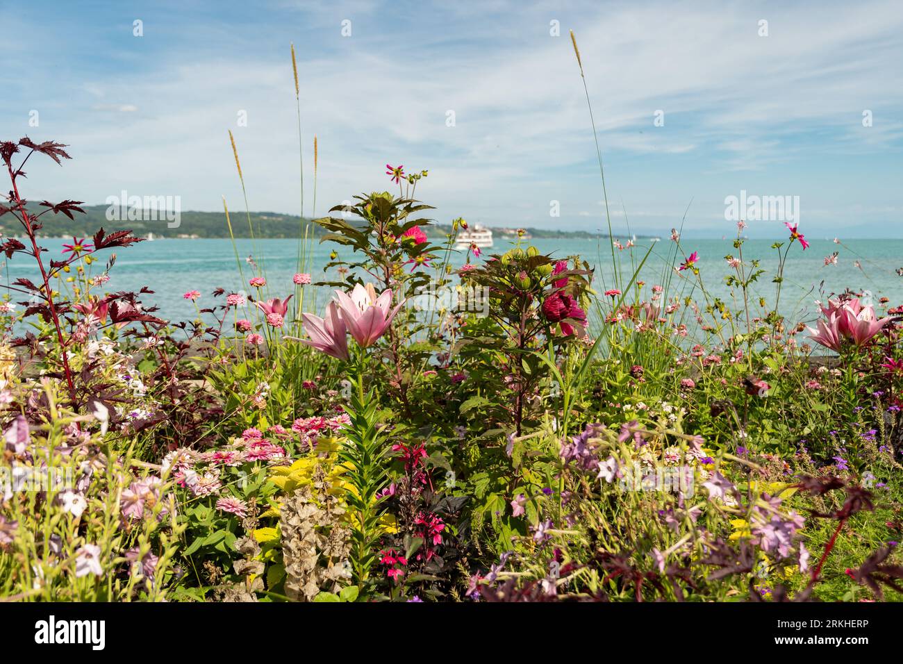 Mainau, Germany, July 20, 2023 Colorful flowers in a park at the lake ...