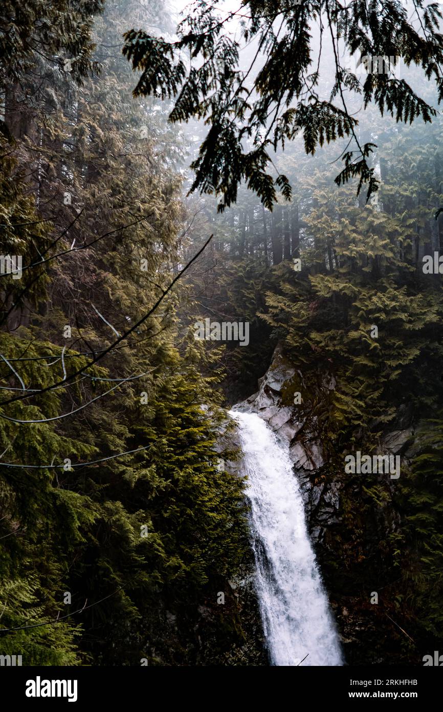 A majestic waterfall cascades down a rock face next to a lush evergreen ...