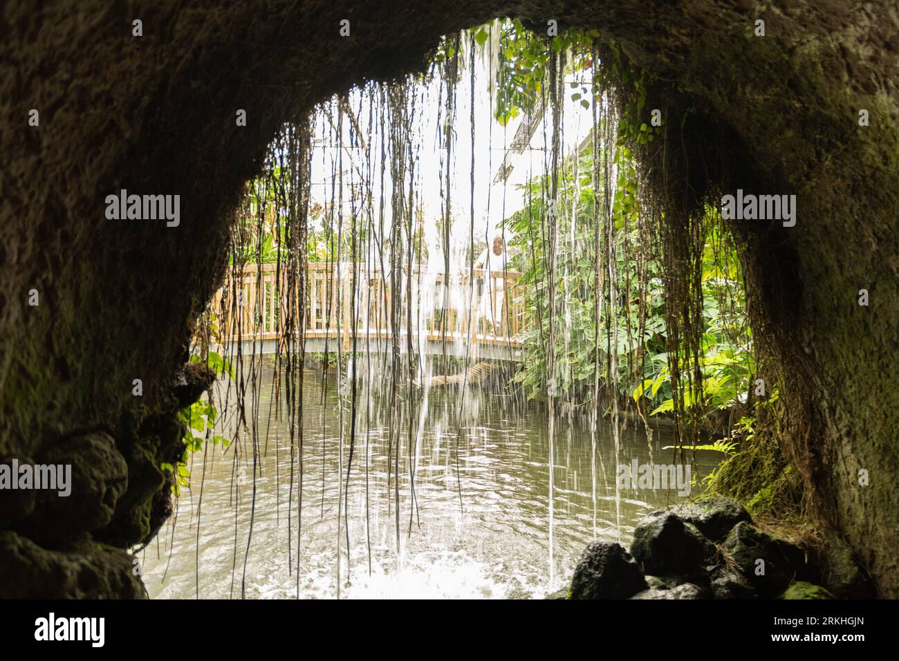 Tropical island germany hi-res stock photography and images - Alamy