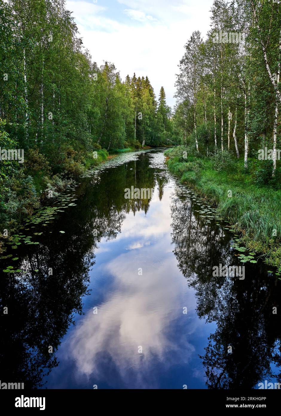 A vertical of the Karvakkojoki river in a green forest in Kemijarvi ...