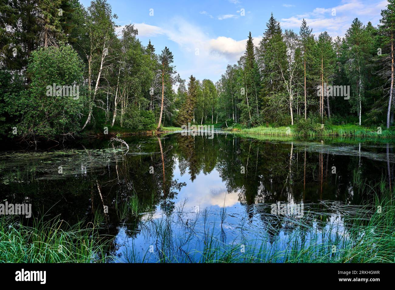 A scenic view of the Karvakkojoki river in a green forest in Kemijarvi ...