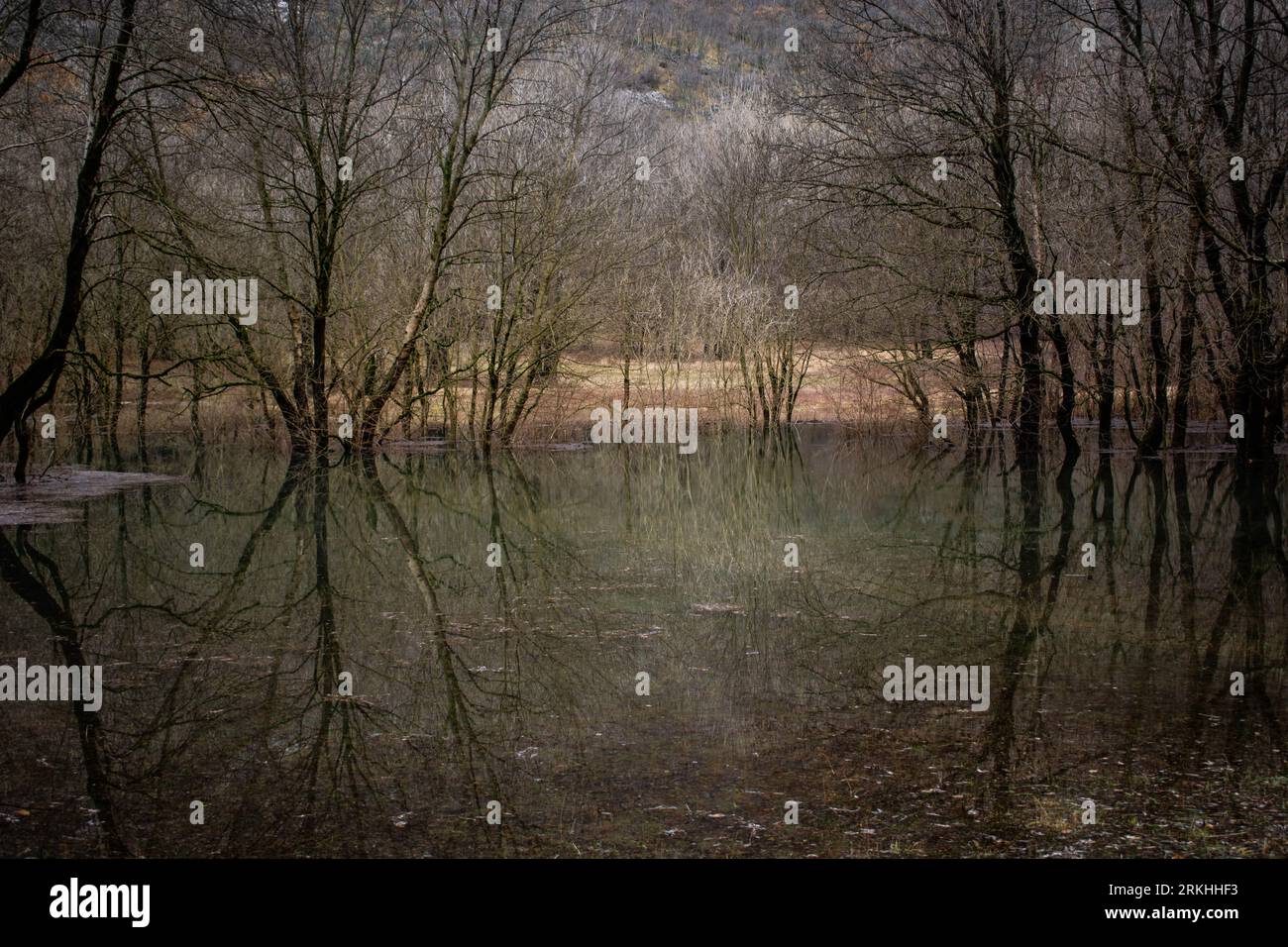 This image captures a peaceful stream cascading through a lush forested ...