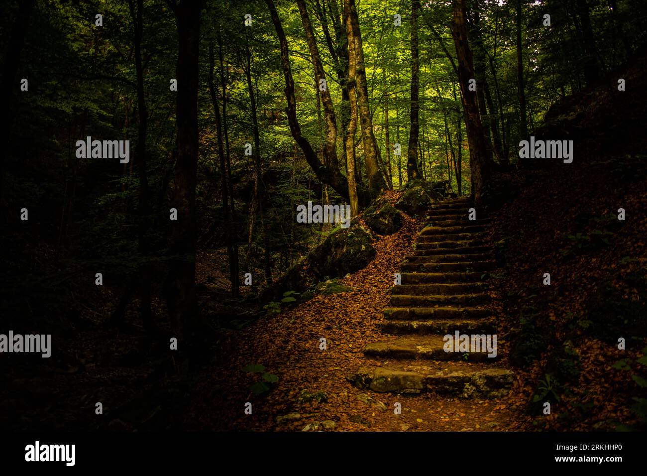 Trek hike rustic path pathway hi-res stock photography and images - Alamy