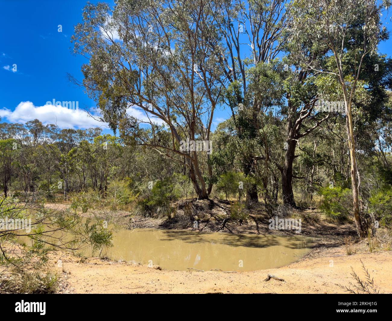A scenic view of a muddy dam in the bushlands of Emmaville, New South ...