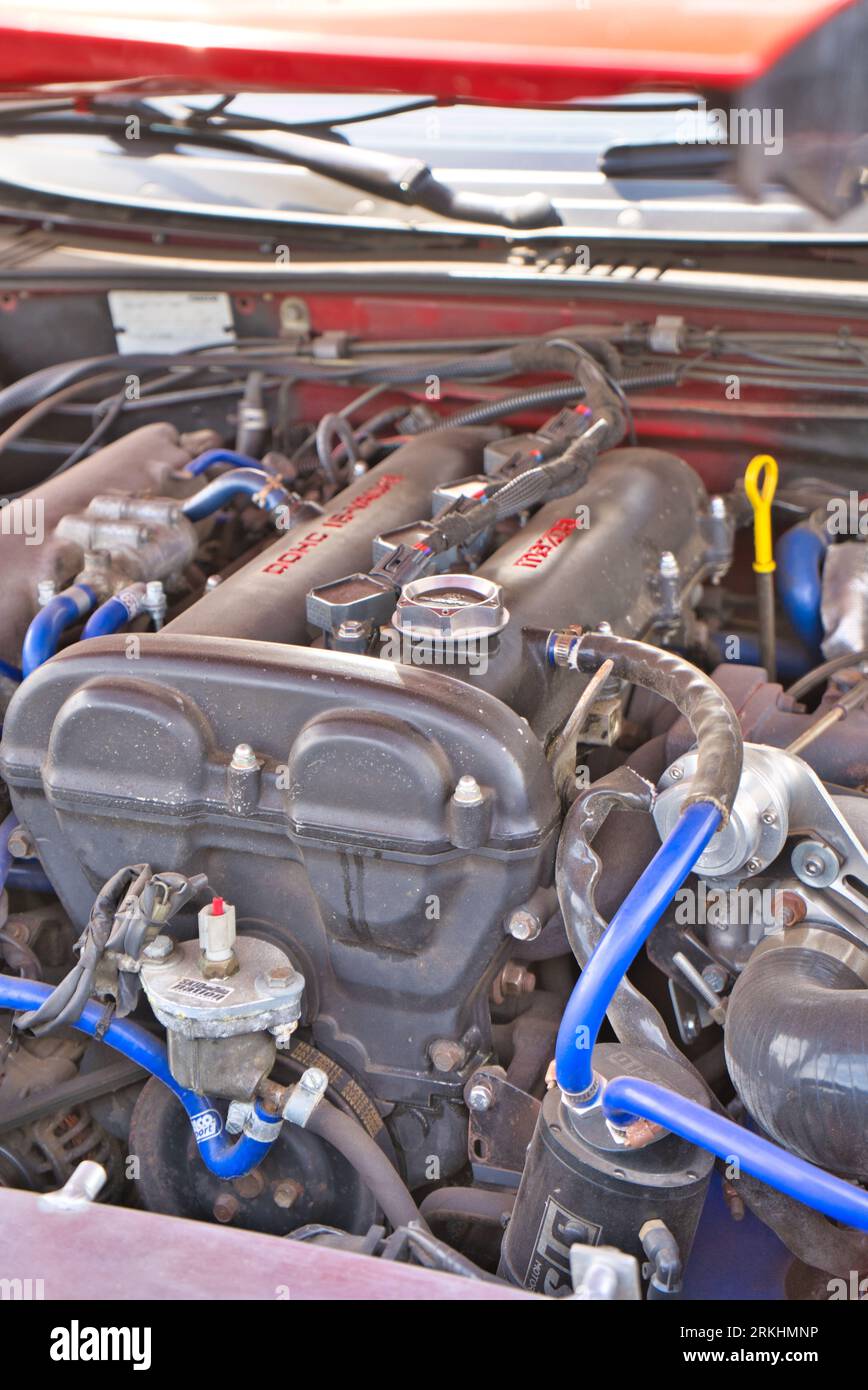 A close-up of an automobile engine compartment, with blue hoses and ...