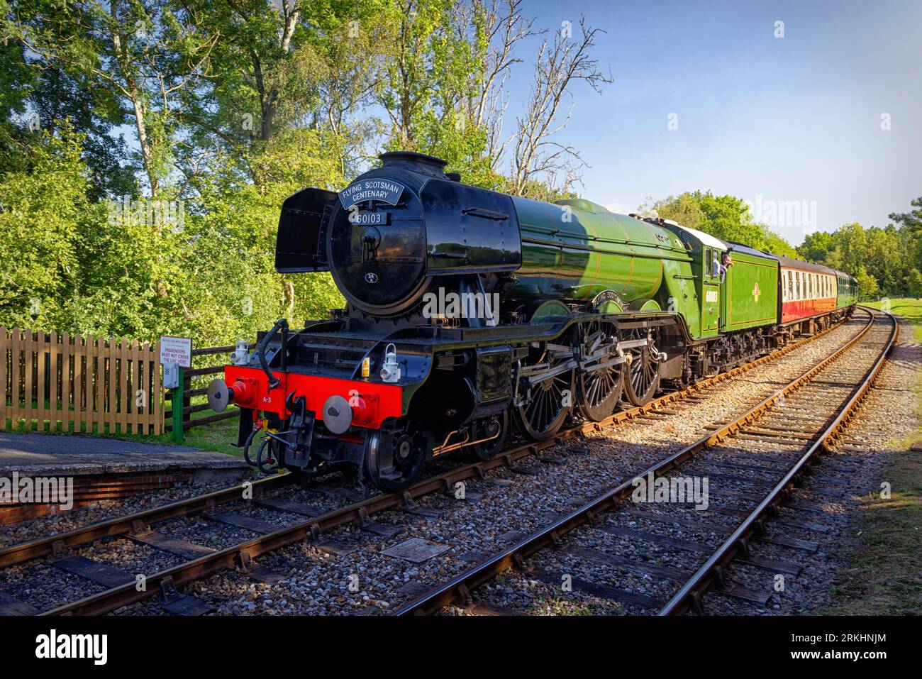 The Flying Scotsman steam locomotive on the Bluebell Line in East ...