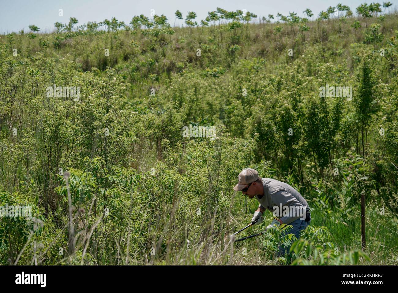 Ed Hubbs, habitat and private lands manager at Spring Creek Prairie ...