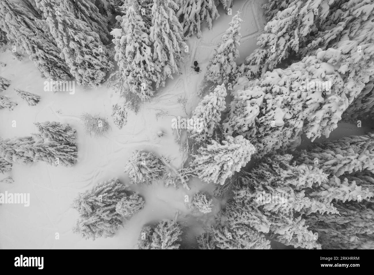 Aerial winter forest mountain landscape Black and White Stock Photos ...