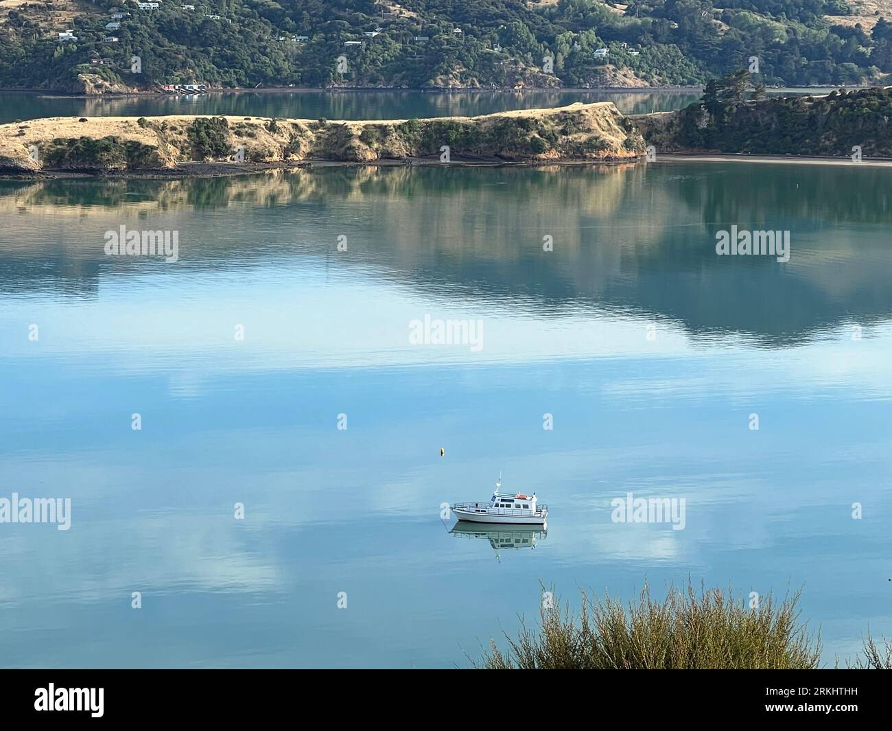 Small sail boat new zealand hi-res stock photography and images - Alamy