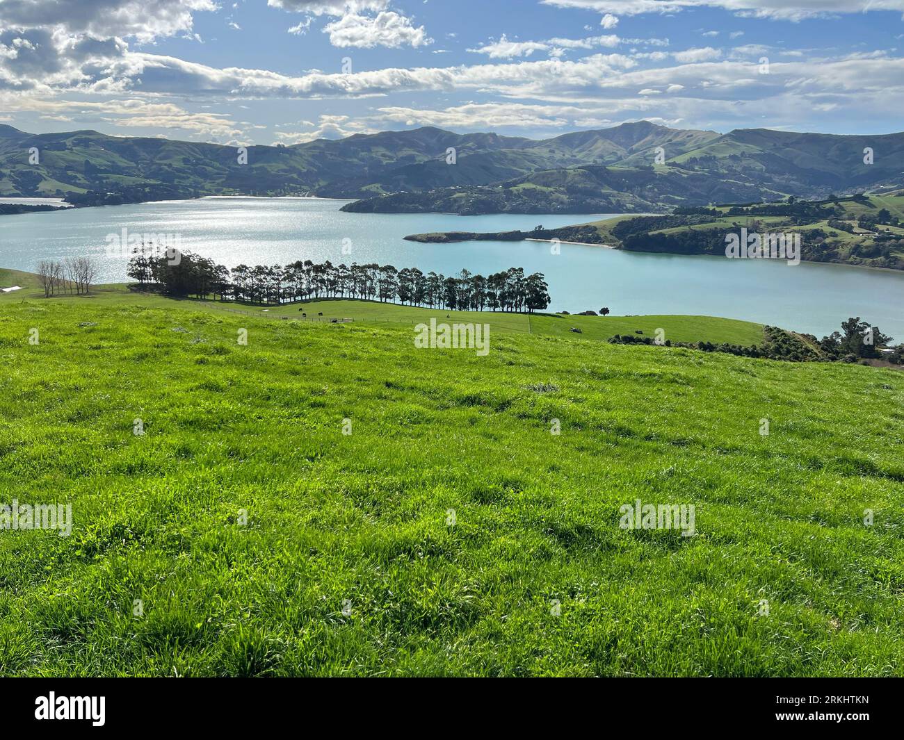 Akaroa harbour cliffs hi-res stock photography and images - Alamy