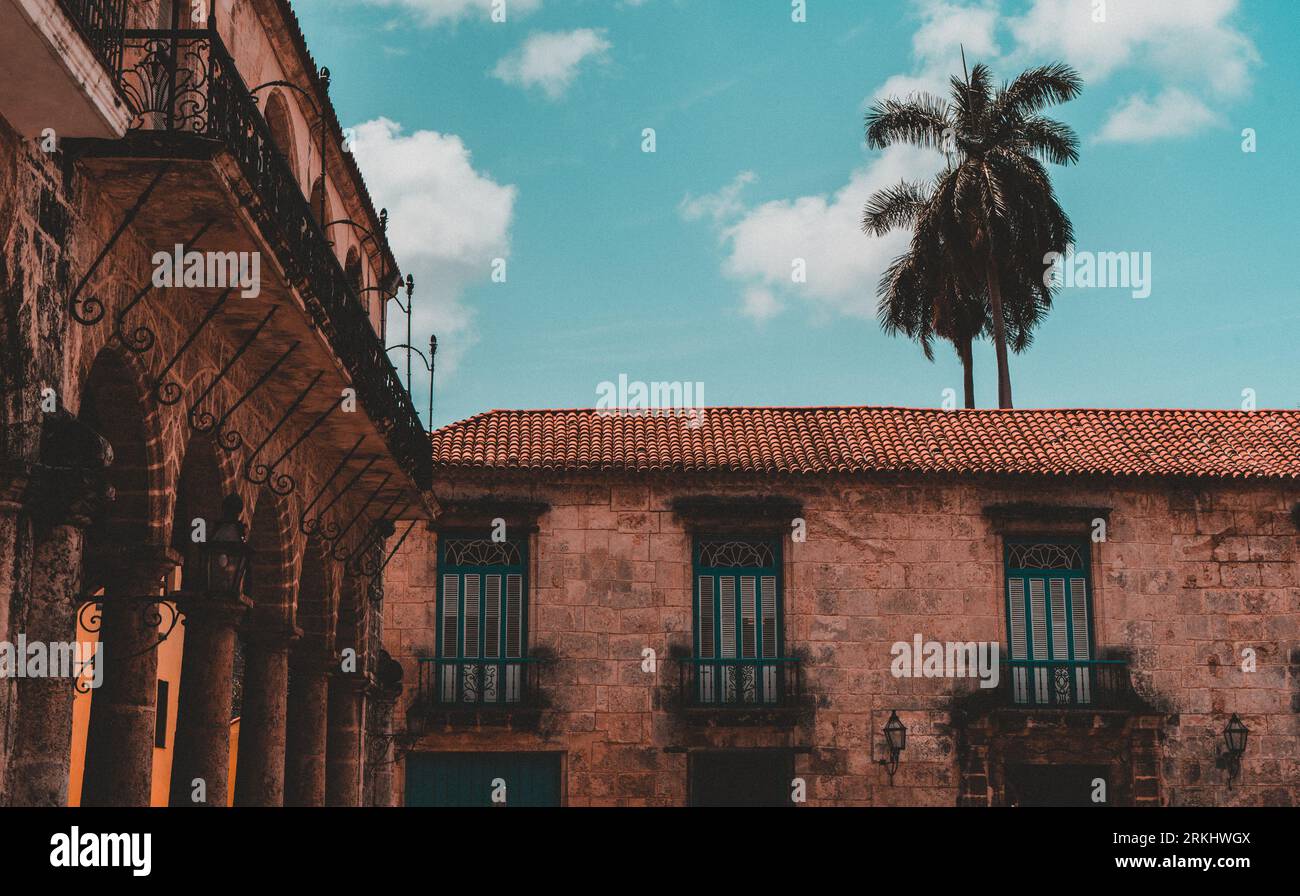 The colonial architecture basked in the sun and surrounded by lush palm ...