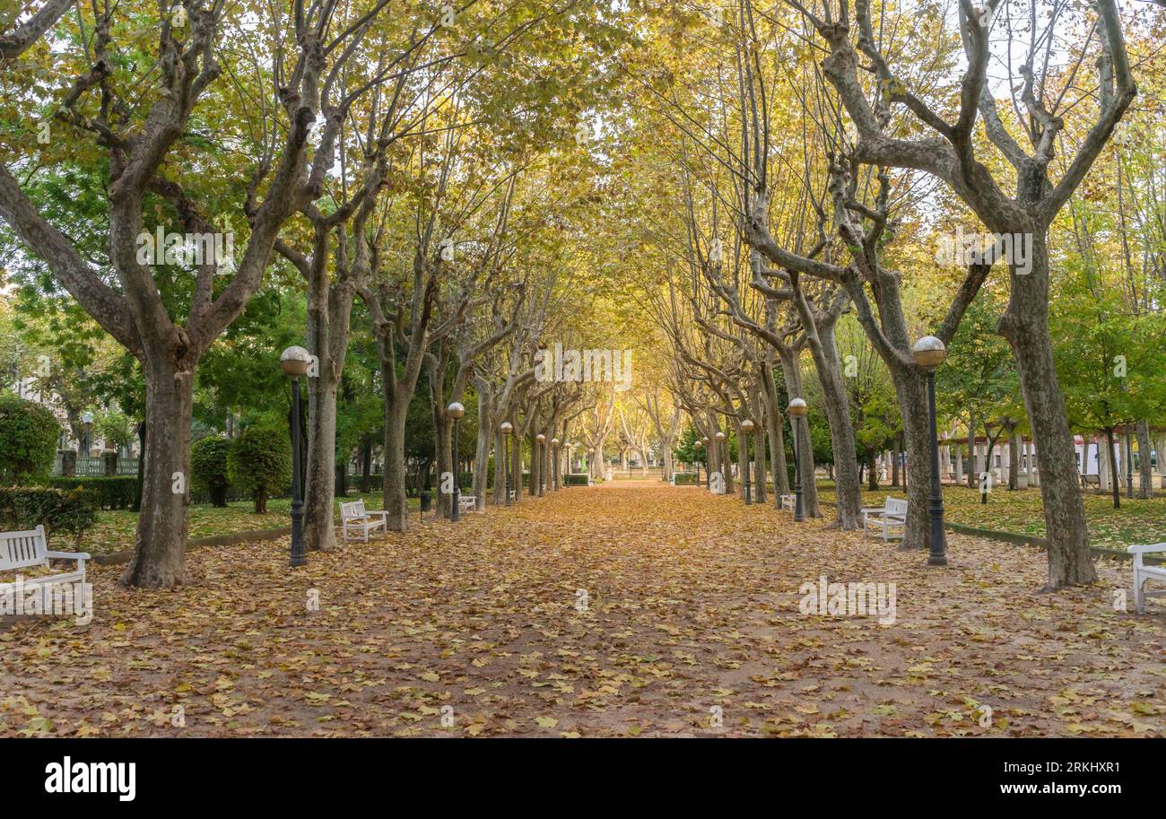 Spectacular autumn in the city of Soria. Park full of trees and benches ...
