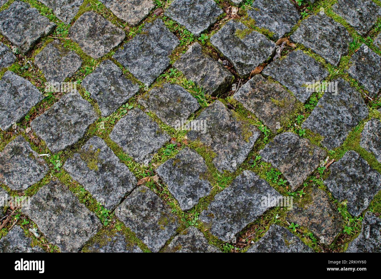 Cobblestone pavement with green moss pattern background photography ...