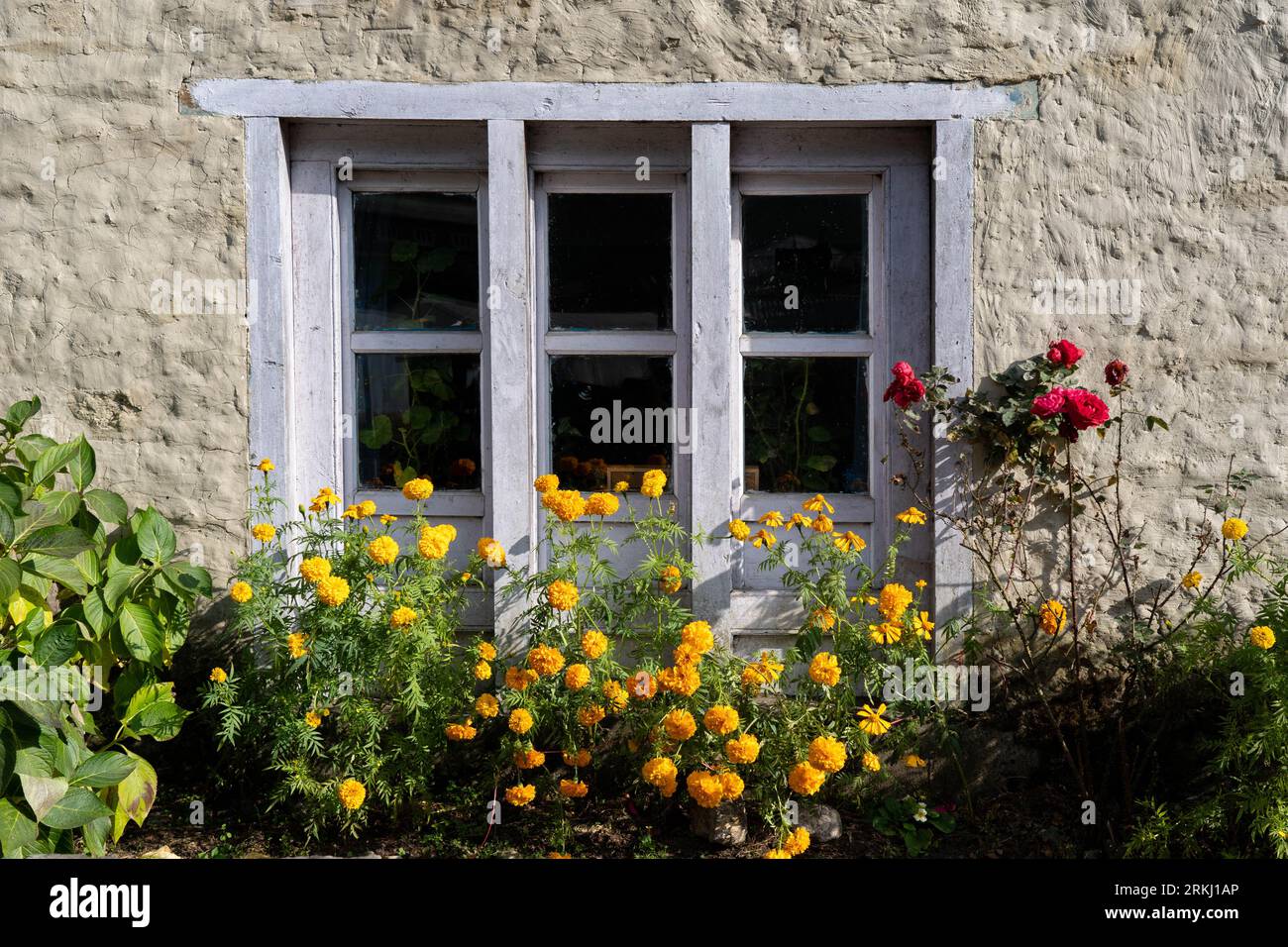 A window of a rural house adorned with colorful flowers Stock Photo - Alamy