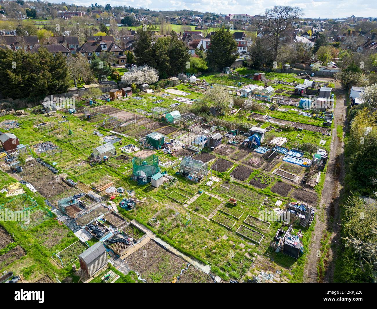 Aerial view of a community farm featuring a newly planted vegetable ...