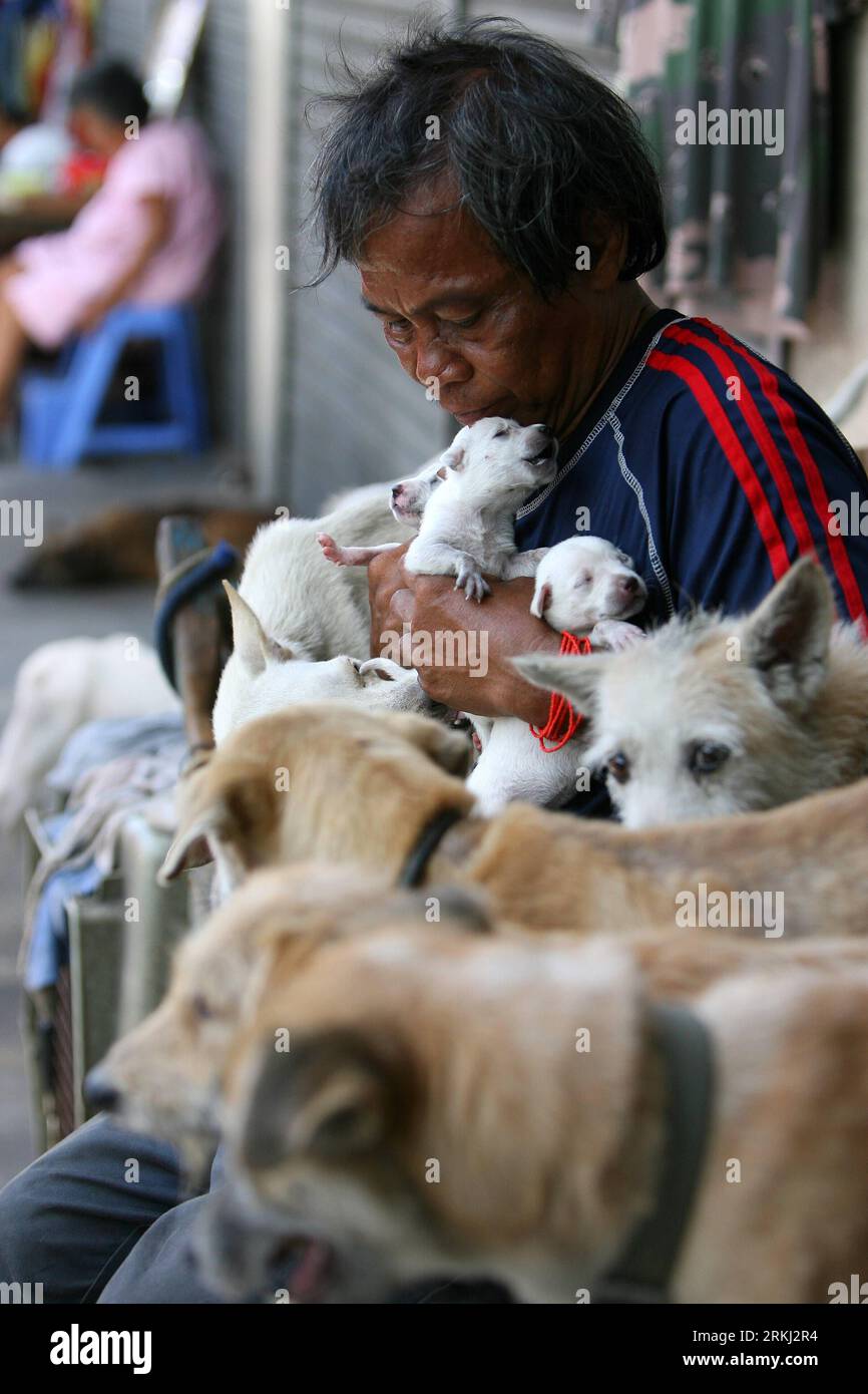 Stray dogs philippines hi-res stock photography and images - Alamy