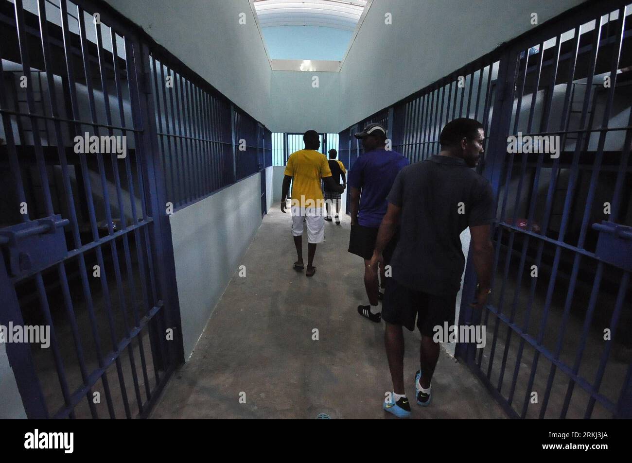 Has 14 cells hi-res stock photography and images - Alamy