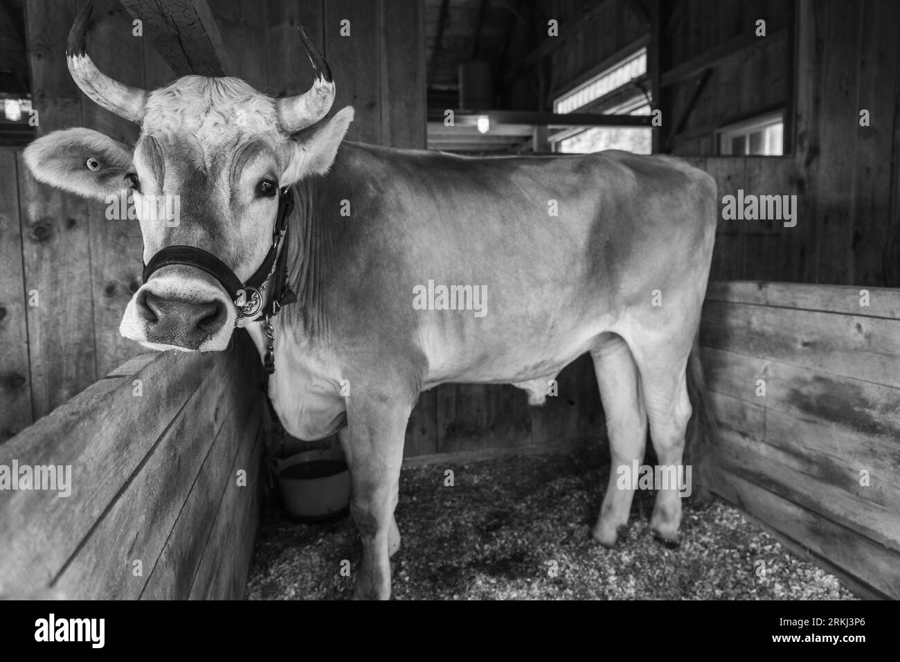 Black and white barn hi-res stock photography and images - Alamy