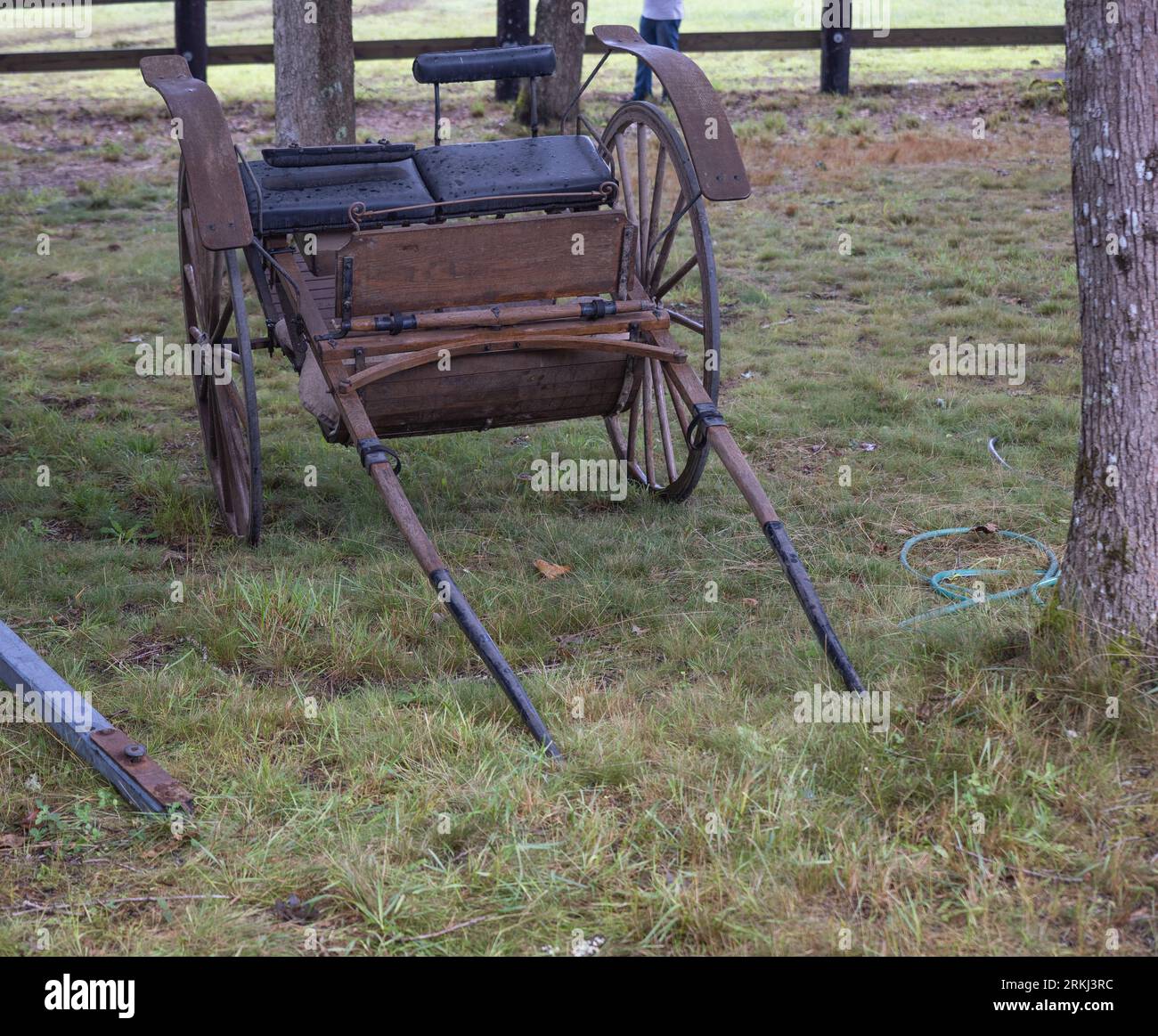 An antique wooden horse-drawn carriage on a grassy field in New England ...