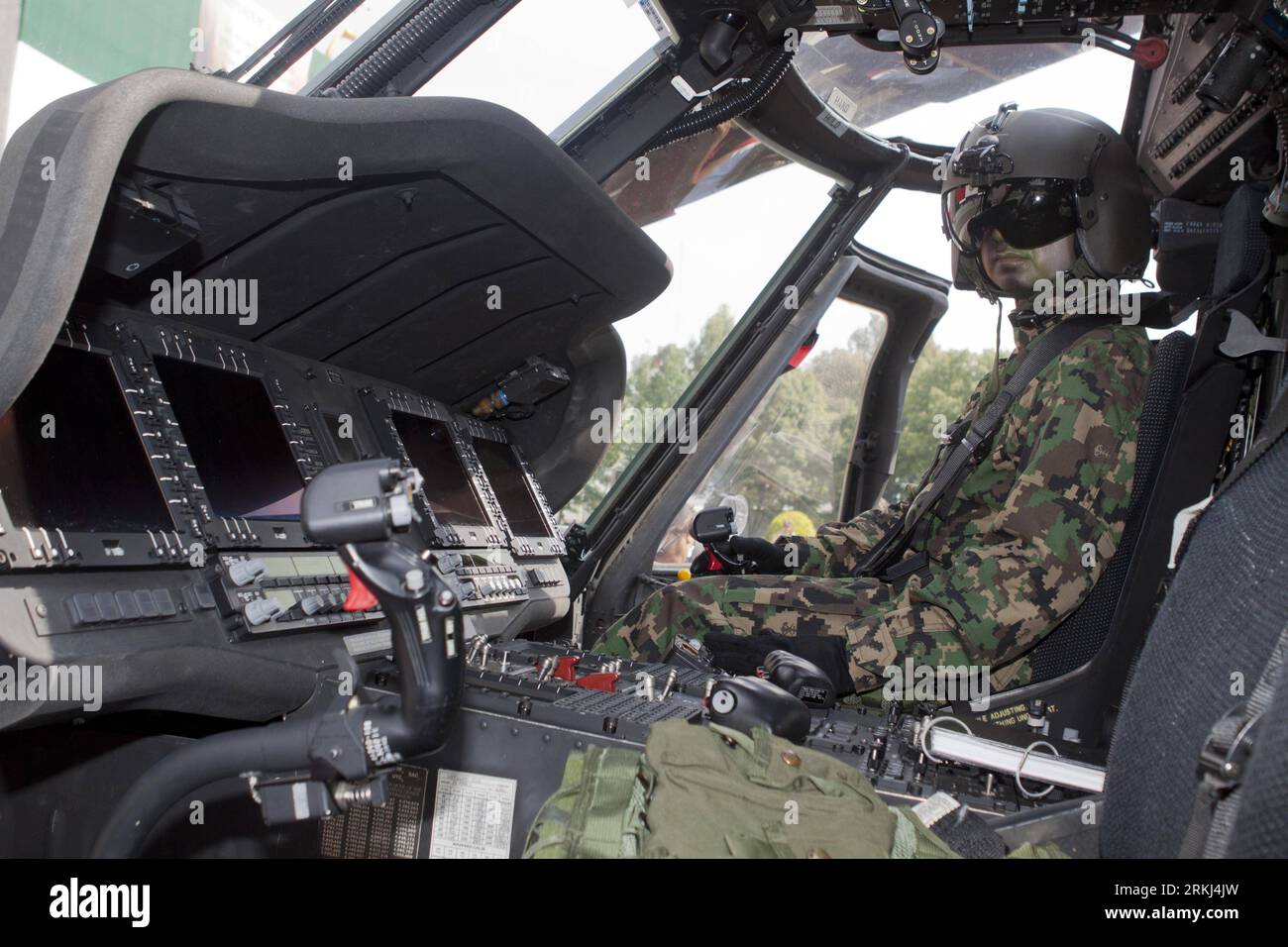 Mexican hawk hi-res stock photography and images - Alamy