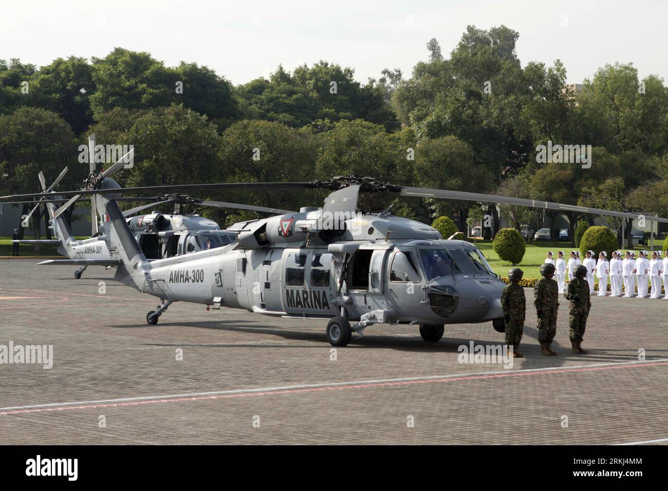 Mexican hawk hi-res stock photography and images - Alamy