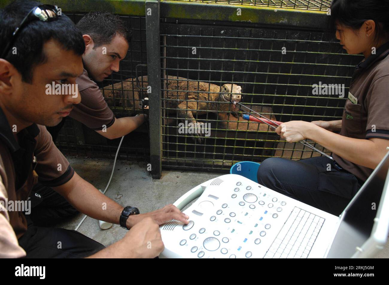 Zoo breeding program hi-res stock photography and images - Alamy