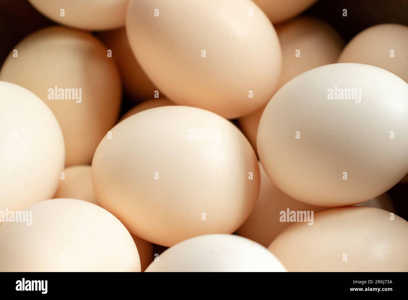 Close up photo of eggs in the kitchen, after some edits Stock Photo - Alamy