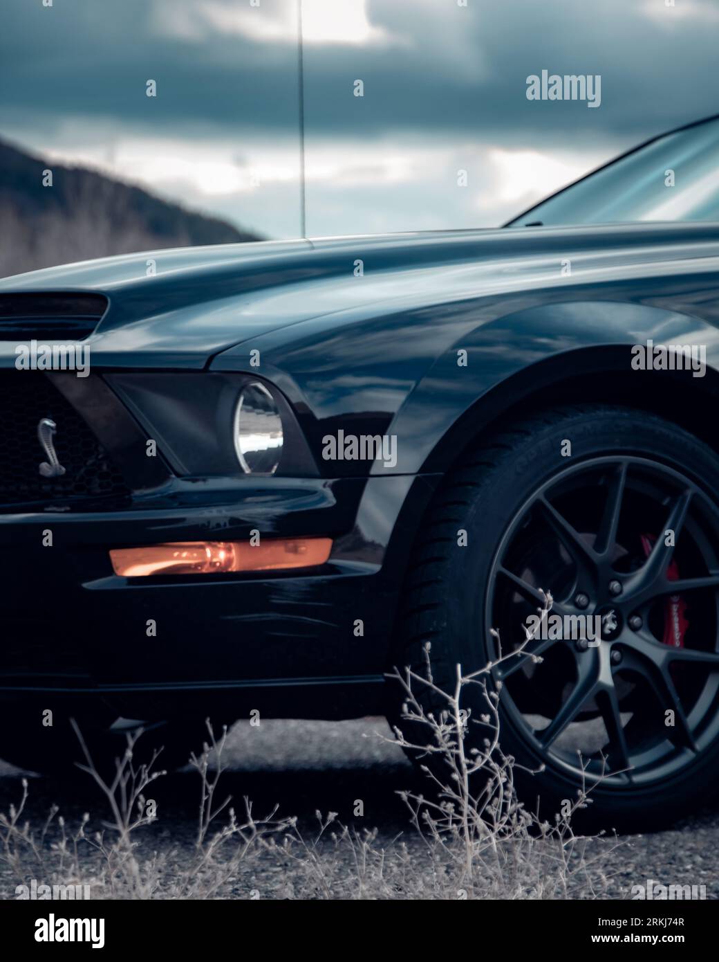 Car facing camera hi-res stock photography and images - Alamy