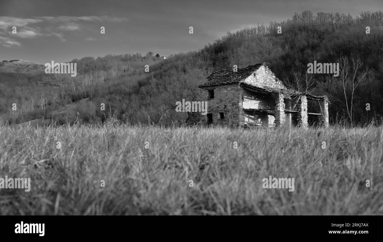 On a hill grass Black and White Stock Photos & Images - Alamy