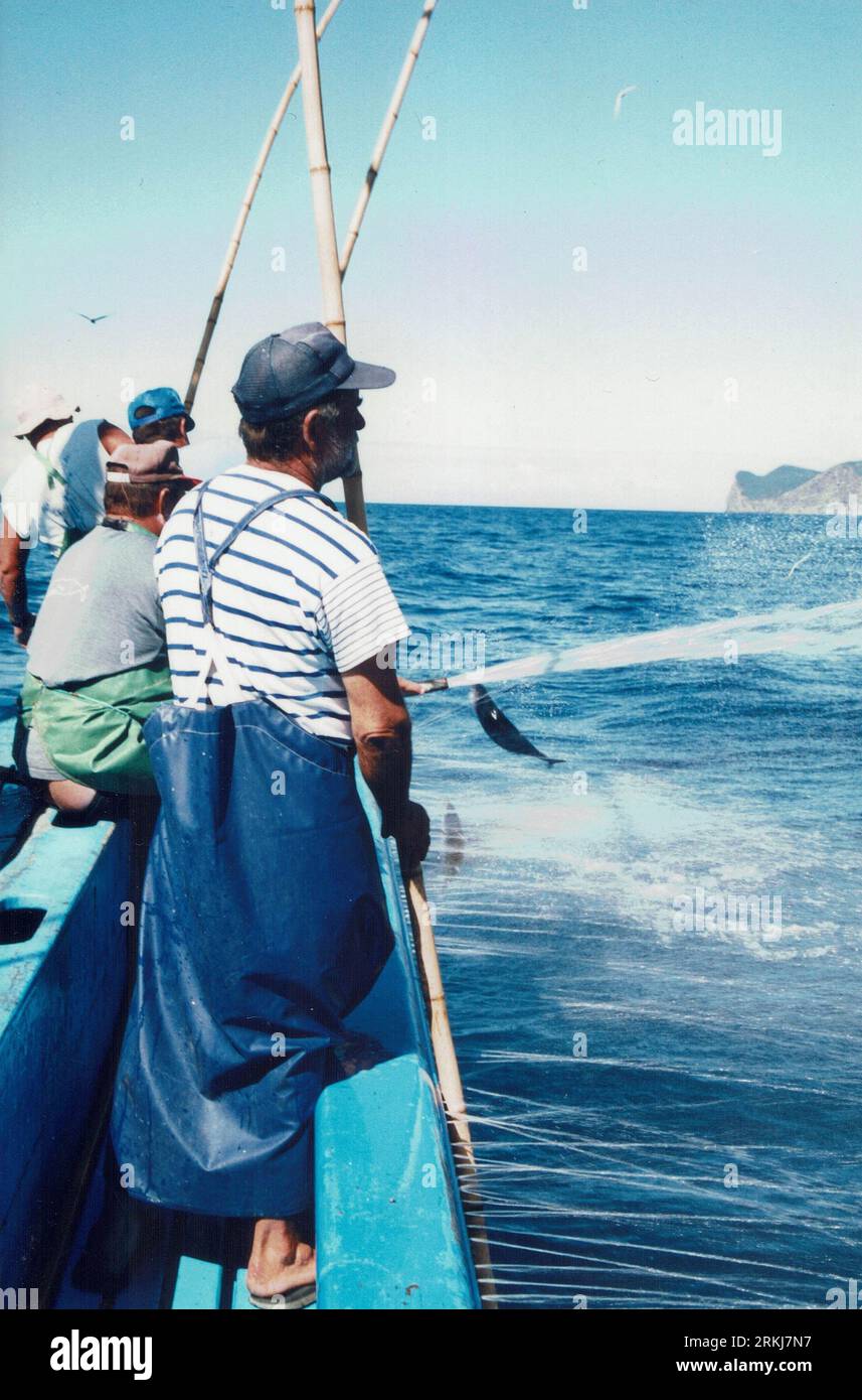 Pole and line tuna fisheries in the Azores islands, Portugal Stock ...