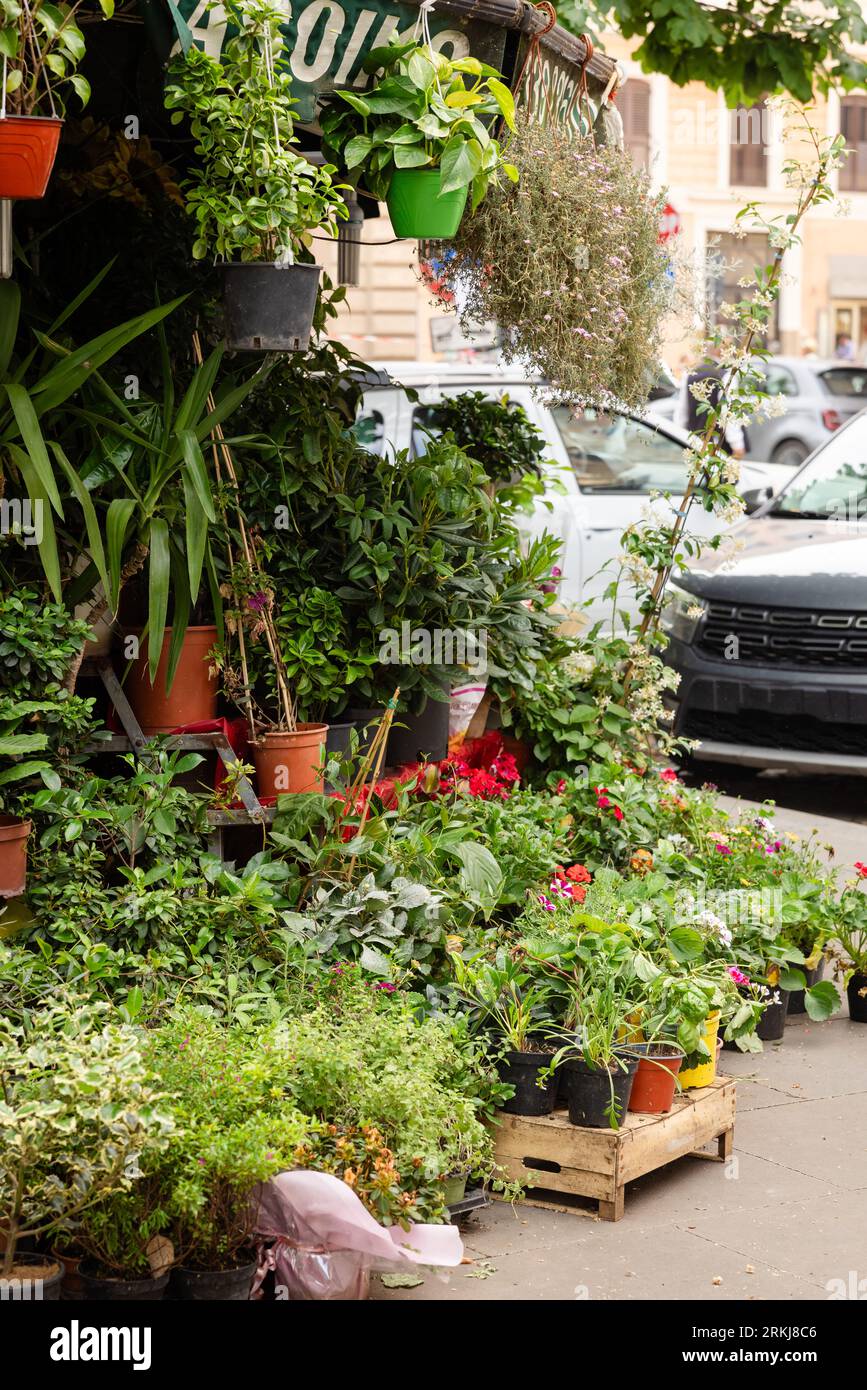 PLants and flowers for sale at an outdoor flower shop store in Rome ...
