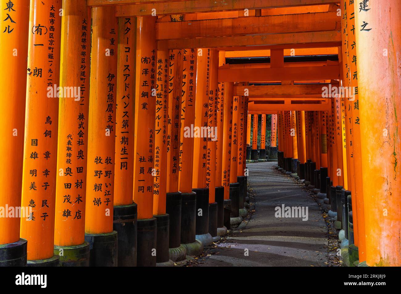 A path winding through a series of torii gates at Fushimi Inari Shrine ...