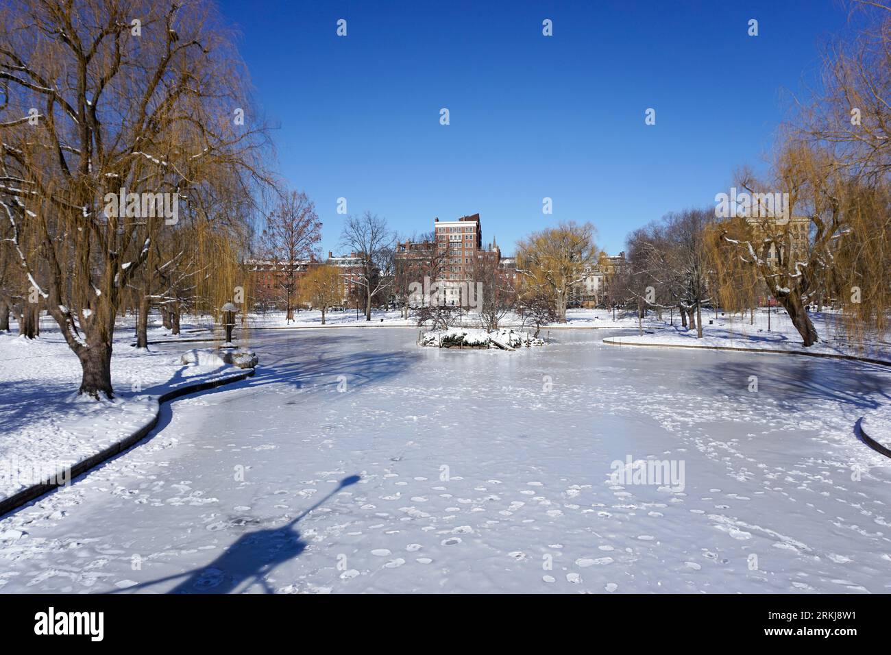 Snowy and Sunny View of Frozen Pond and Duck Island in Boston Public ...