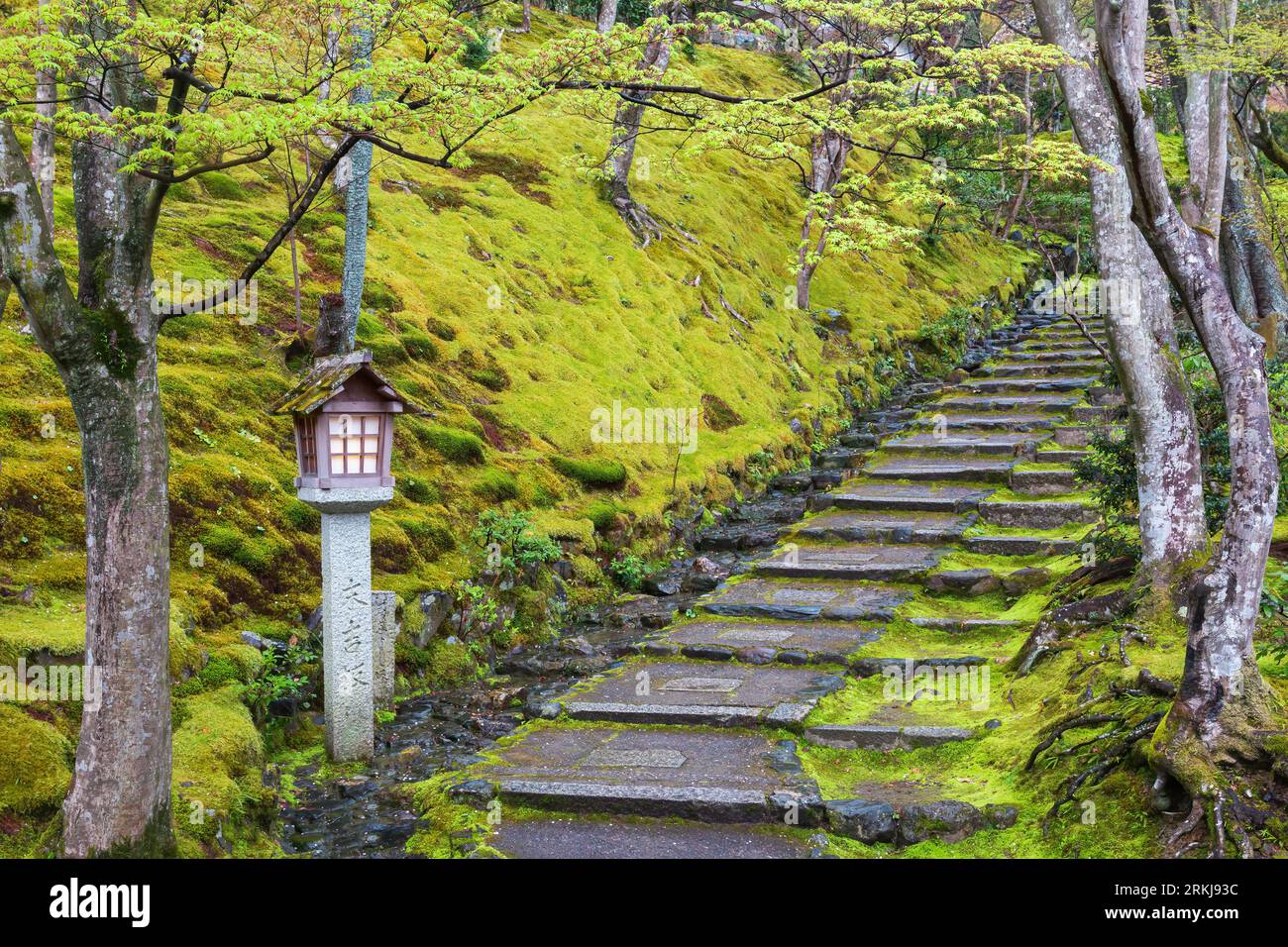 Gio ji arashiyama temple hi-res stock photography and images - Alamy Gio ji arashiyama temple hi-res stock photography and images - Alamy