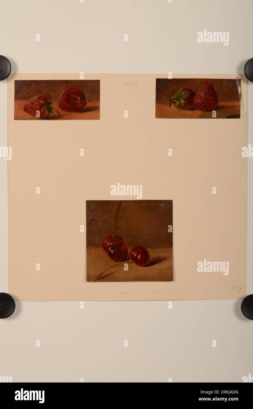 Fruit_studies hi-res stock photography and images - Alamy