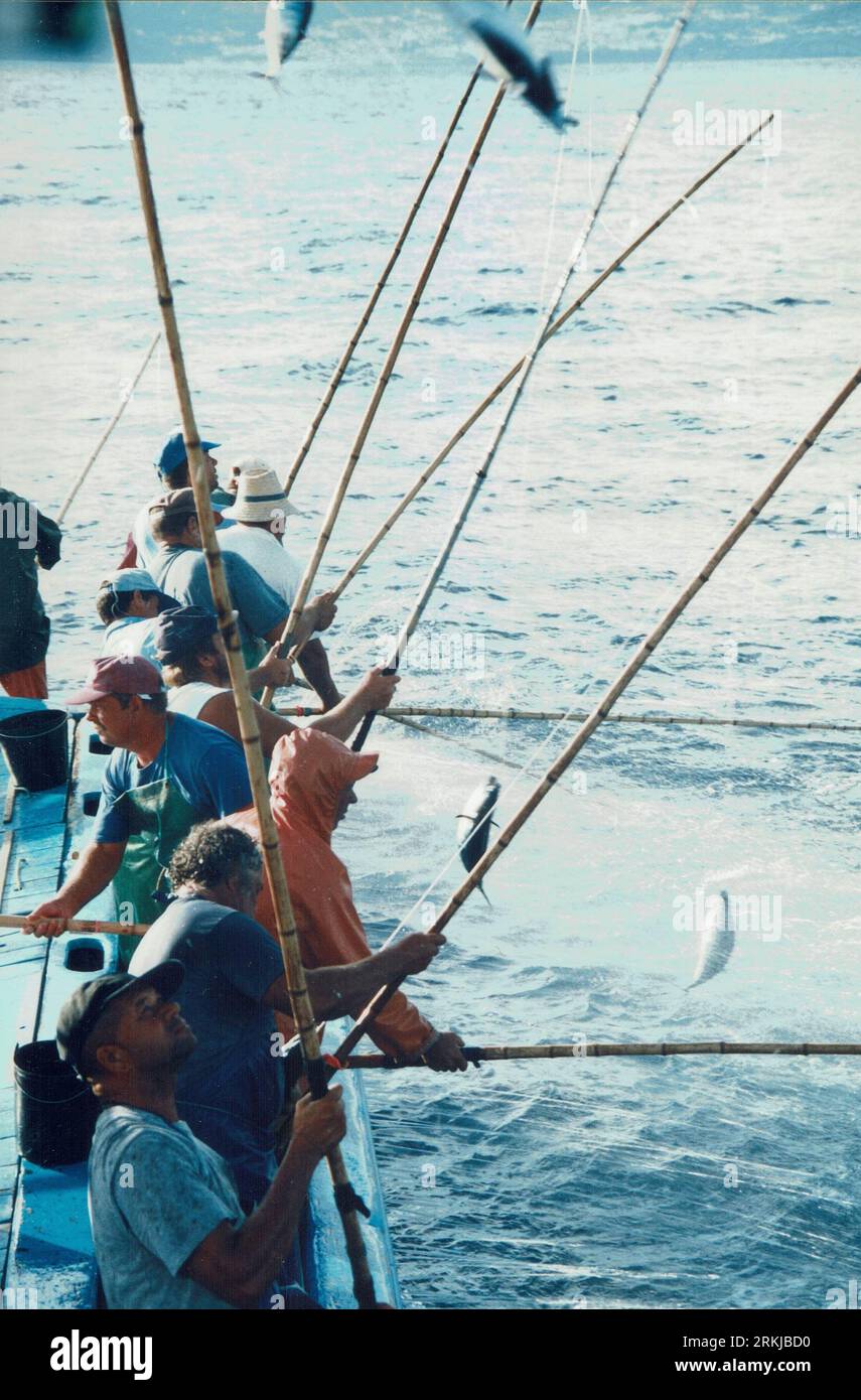 Pole and line tuna fisheries in the Azores islands, Portugal Stock ...