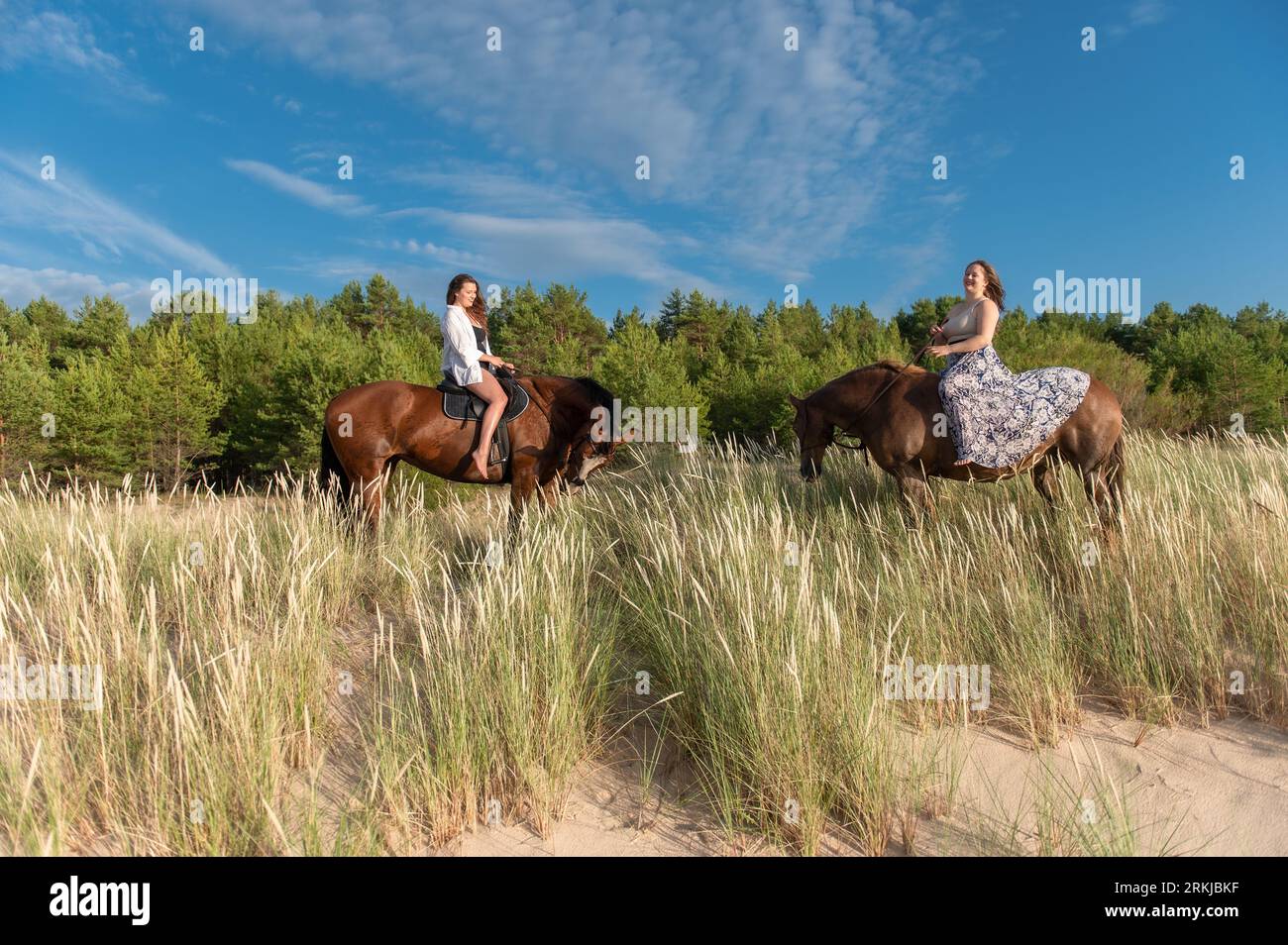 The two young female riders galloping on horseback in a lush green ...