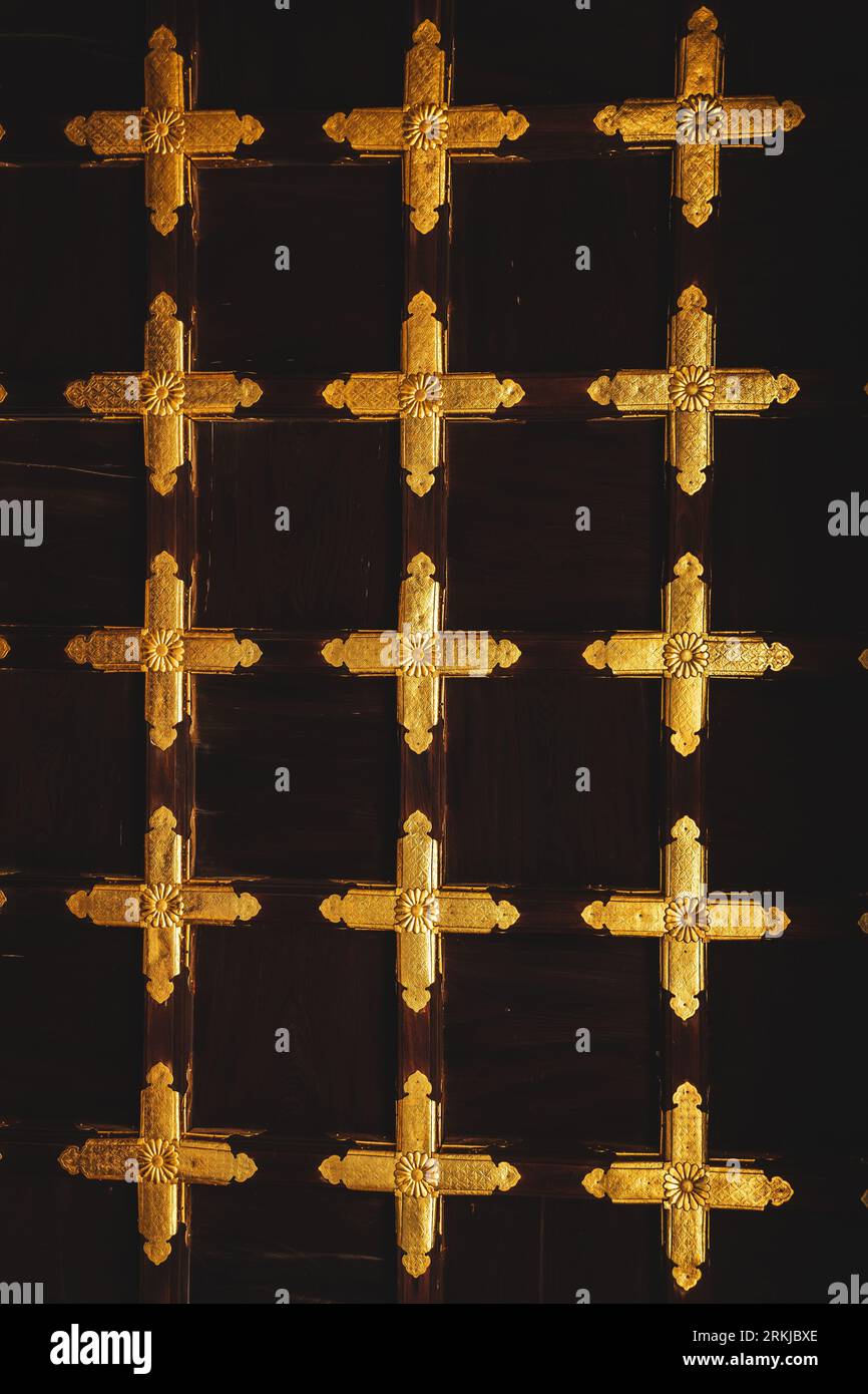 Featuring radial symmetry hi-res stock photography and images - Alamy